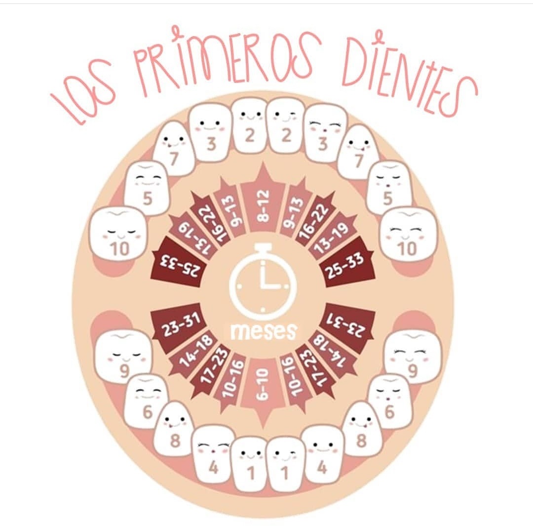 El primer diente del bebé - Mamá por 2